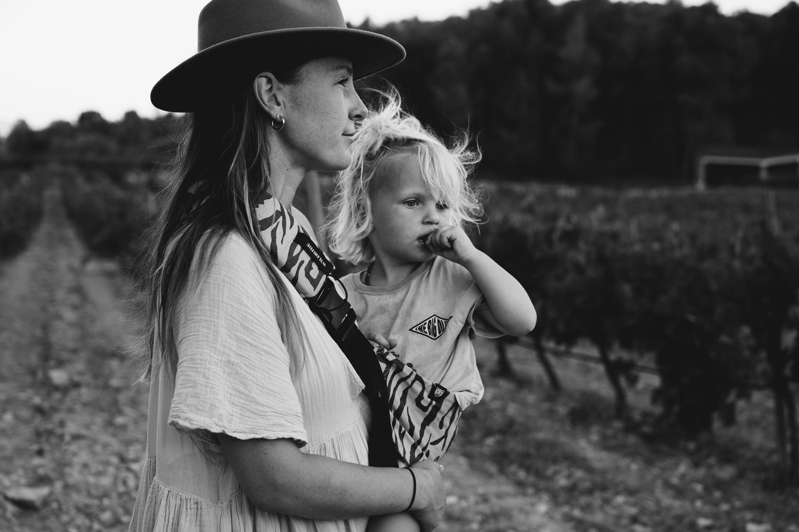 The ultimate hip carrier for toddlers | Wildride – wildridecom